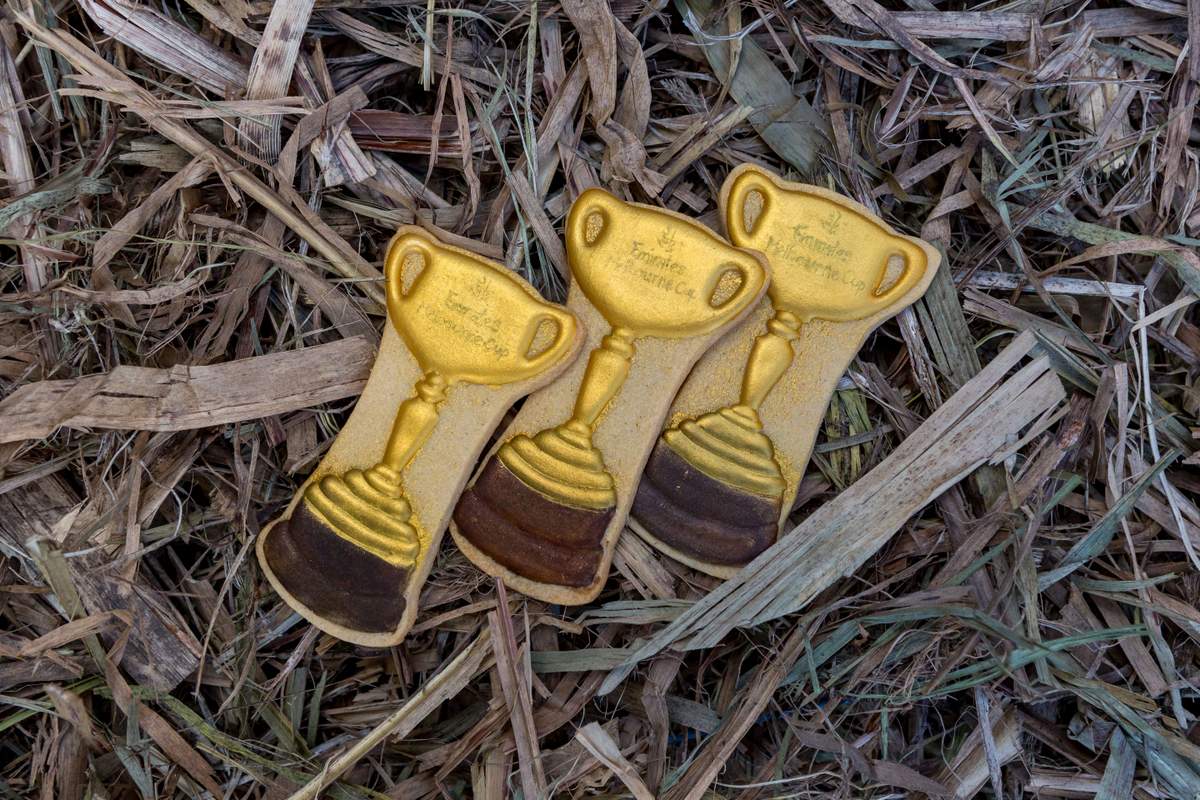 Spring Racing Melbourne Cup Party Ideas | Photo 18 of 23 | Catch My Party