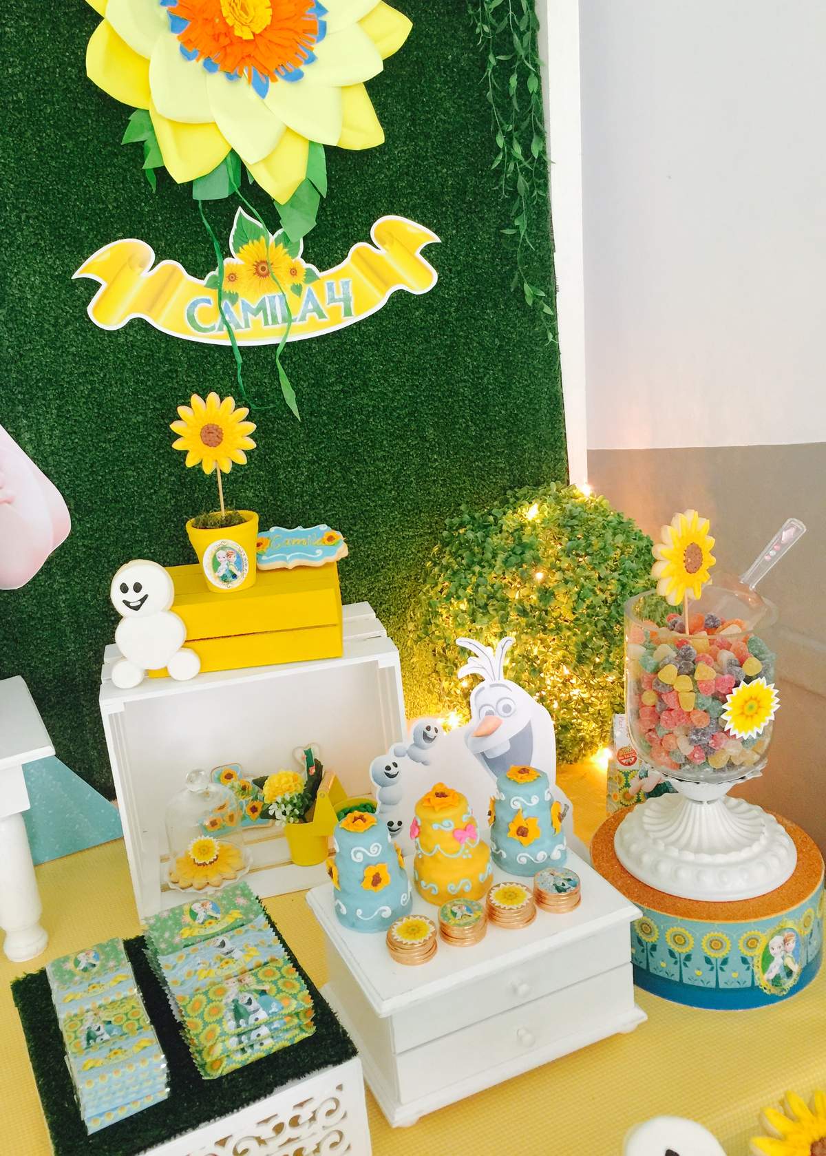 Frozen Fever Birthday Party Ideas | Photo 3 of 20 | Catch My Party