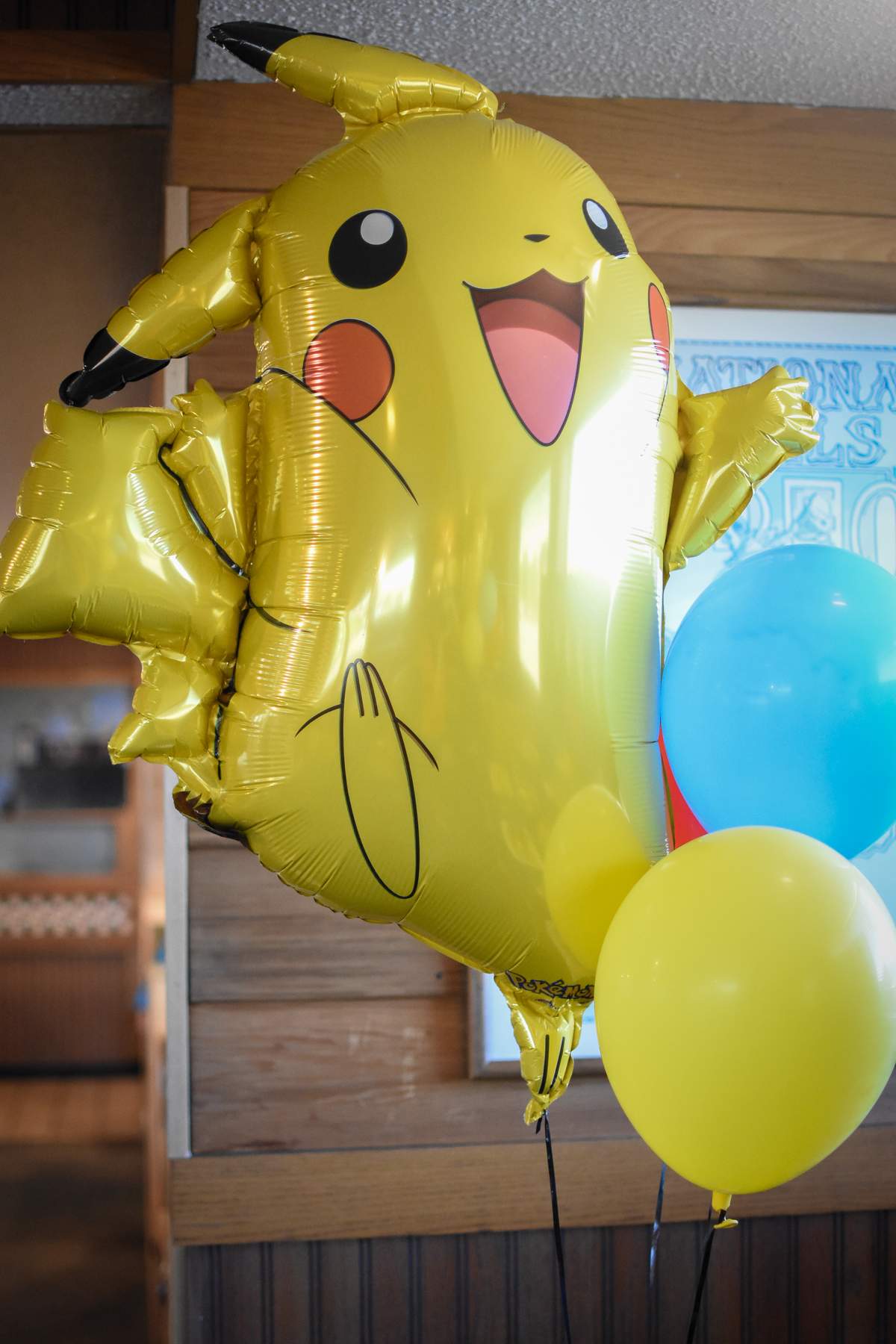 Pokemon Go Birthday Party Ideas | Photo 3 of 47 | Catch My Party