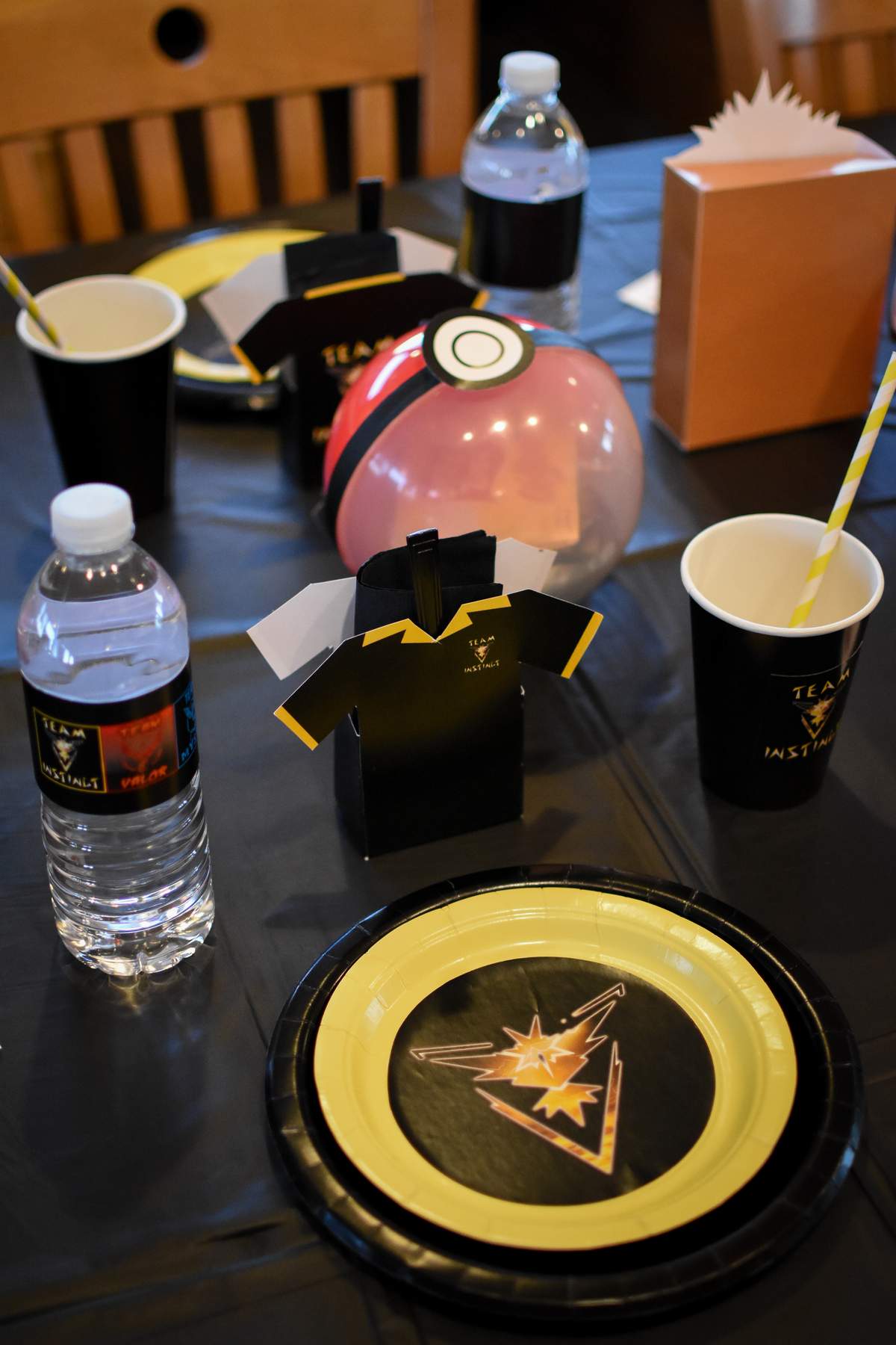 Pokemon Go Birthday Party Ideas | Photo 3 of 47 | Catch My Party