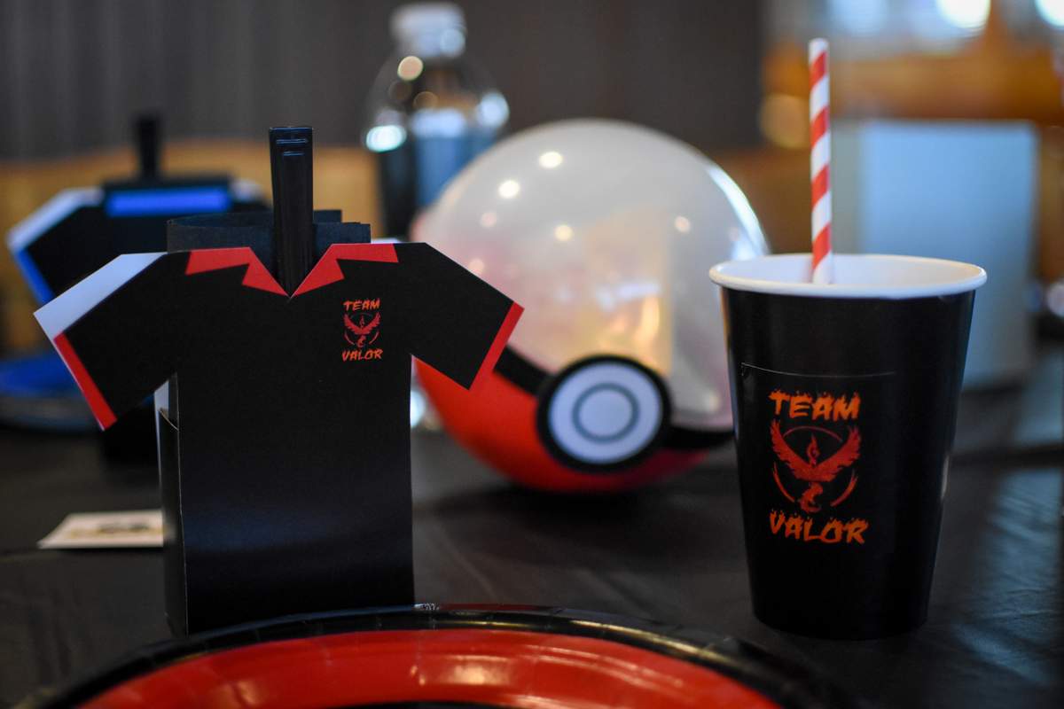 Pokemon Go Birthday Party Ideas | Photo 3 of 47 | Catch My Party