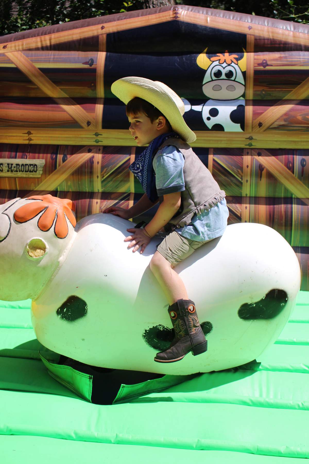 Western Rodeo Birthday Party Ideas | Photo 8 of 24 | Catch My Party