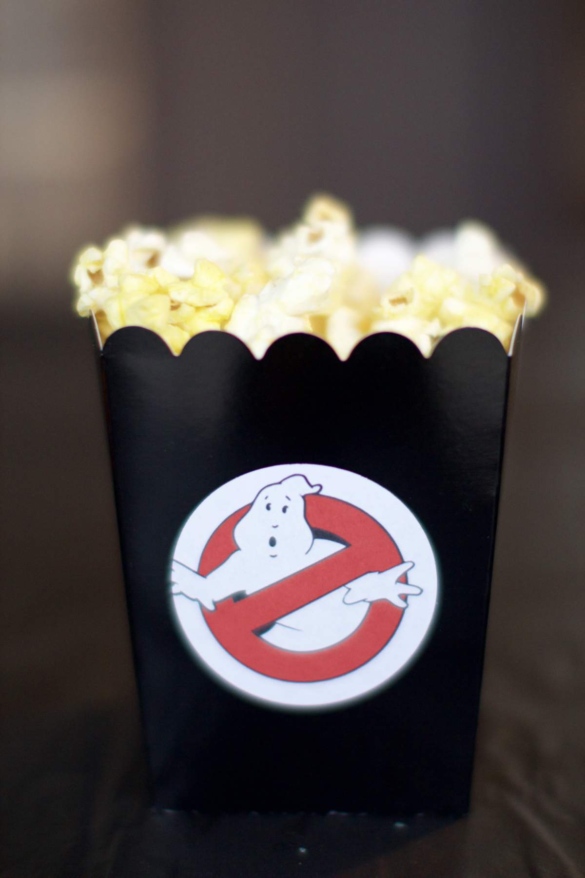 Ghostbusters Birthday Party Ideas | Photo 6 of 30 | Catch My Party