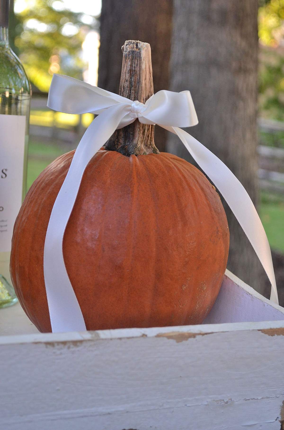 Fall Wine Tasting Thanksgiving/Fall Party Ideas | Photo 1 of 30 | Catch ...