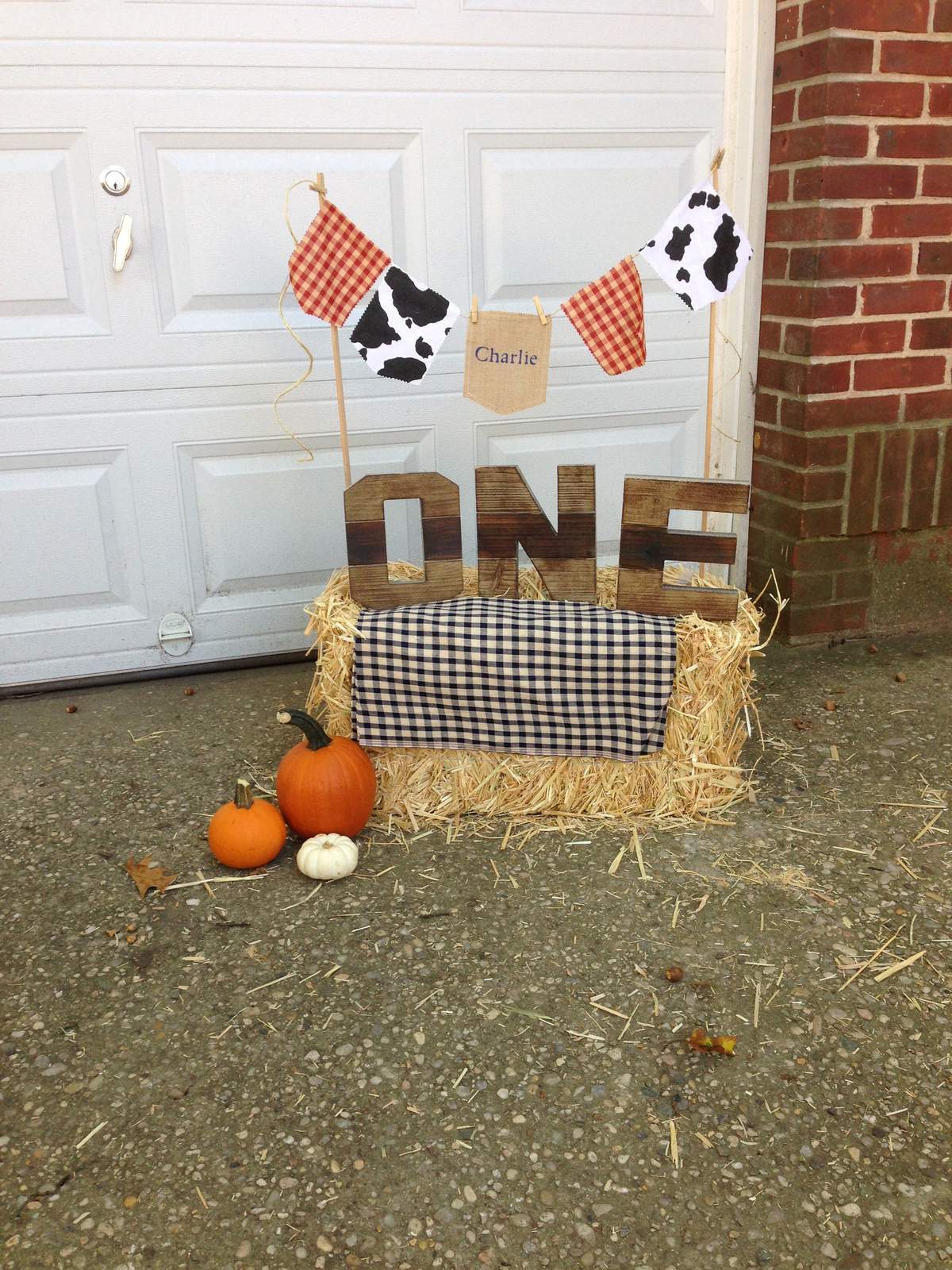 Farm/barnyard/fall Birthday Party Ideas | Photo 1 of 80 | Catch My Party