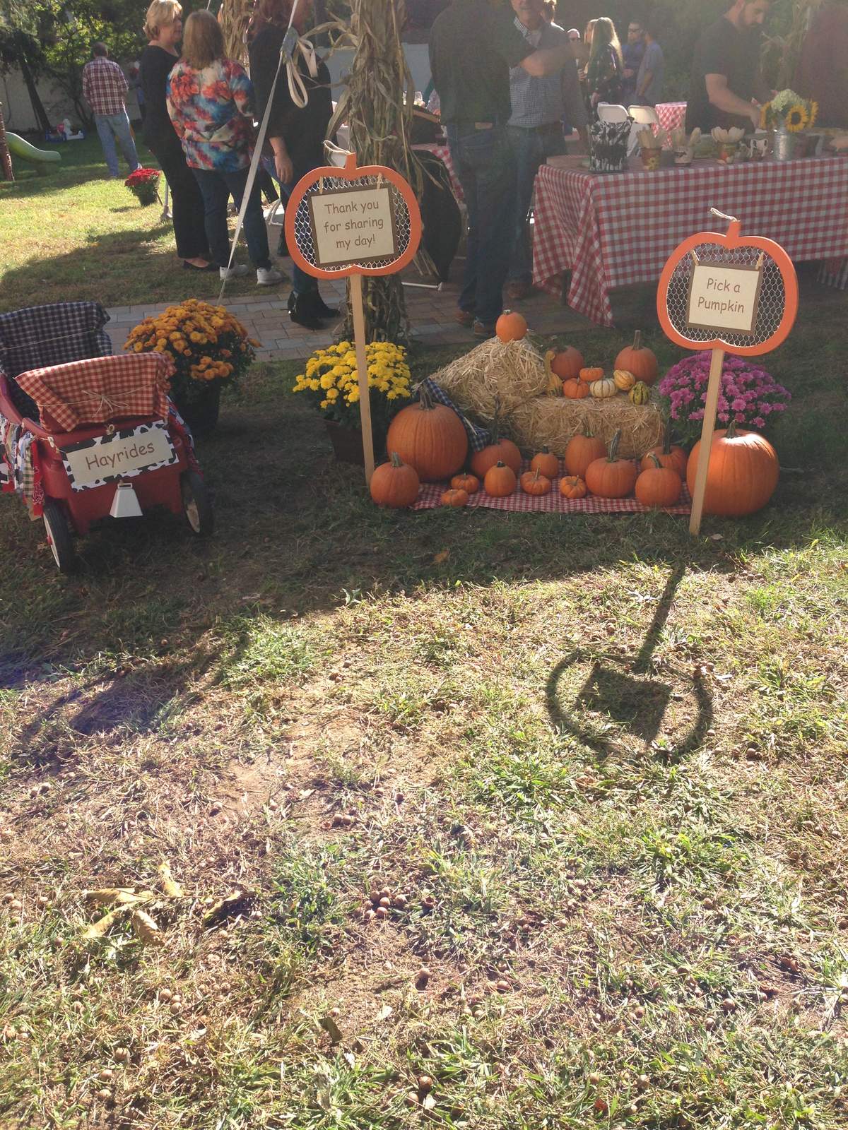 Farm/barnyard/fall Birthday Party Ideas | Photo 8 of 80 | Catch My Party
