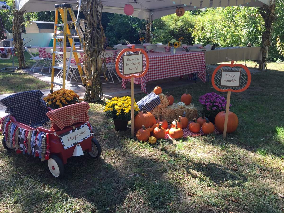 Farm/barnyard/fall Birthday Party Ideas | Photo 1 of 80 | Catch My Party
