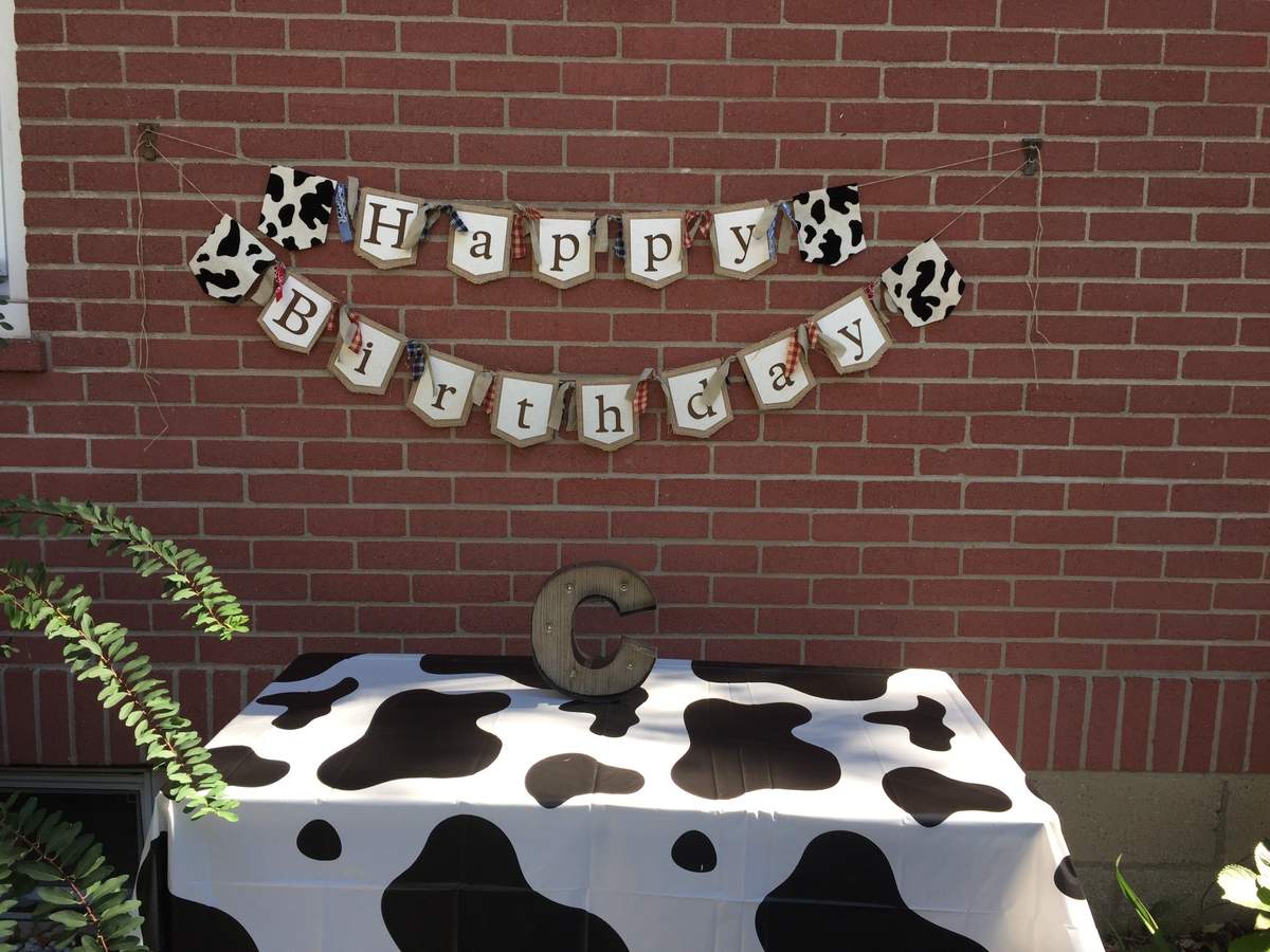 Farm/barnyard/fall Birthday Party Ideas | Photo 8 of 80 | Catch My Party