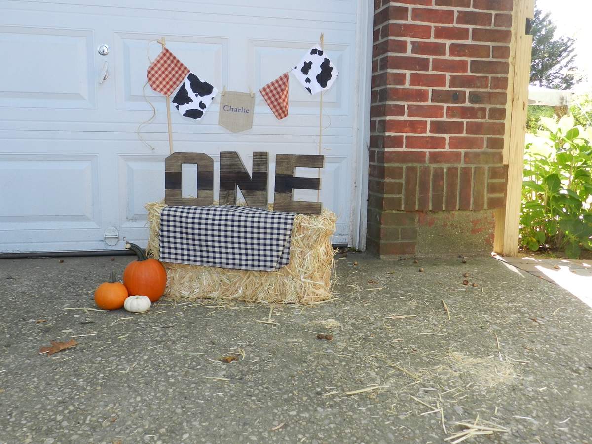 Farm/barnyard/fall / Birthday "Charlie's farm 1st Birthday " | Catch My ...