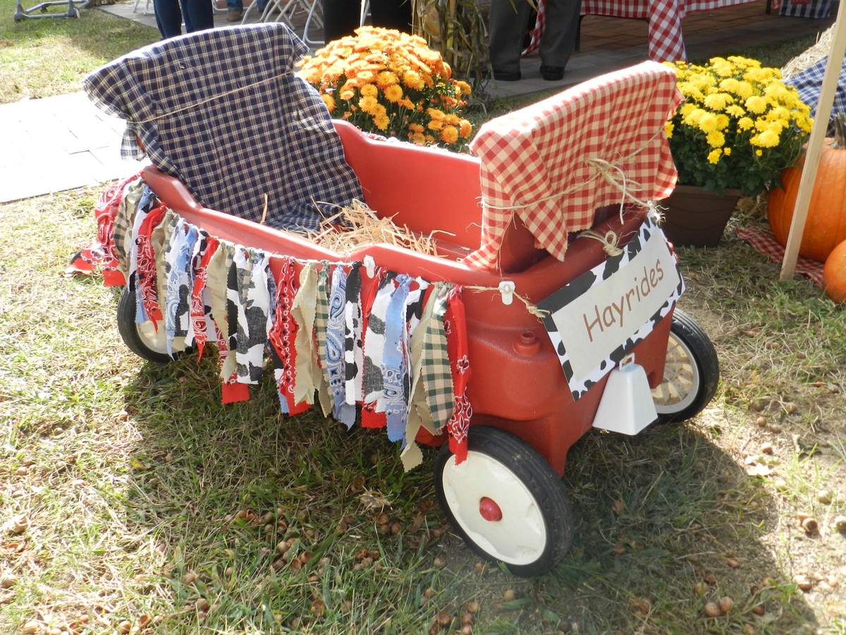 Farm/barnyard/fall Birthday Party Ideas | Photo 8 of 80 | Catch My Party