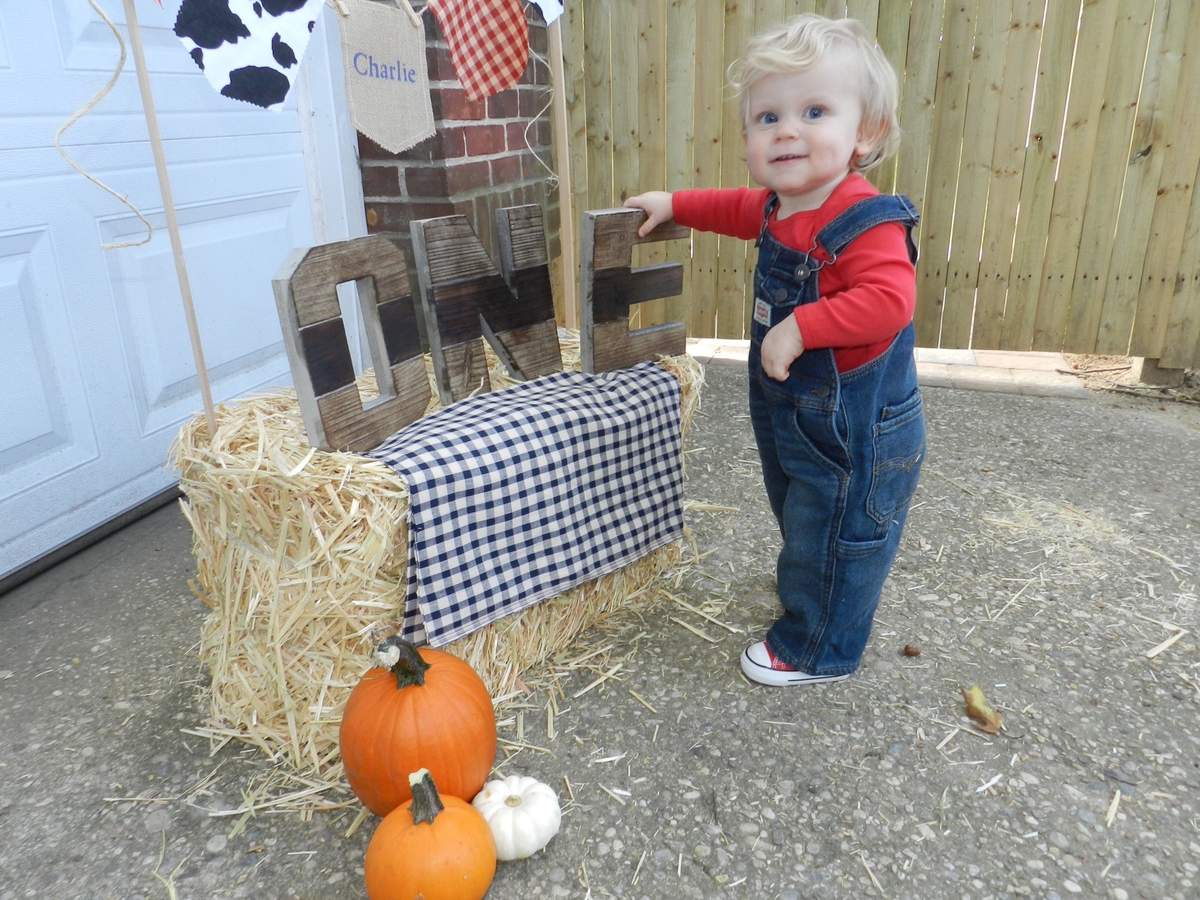 Farm/barnyard/fall Birthday Party Ideas | Photo 8 of 80 | Catch My Party