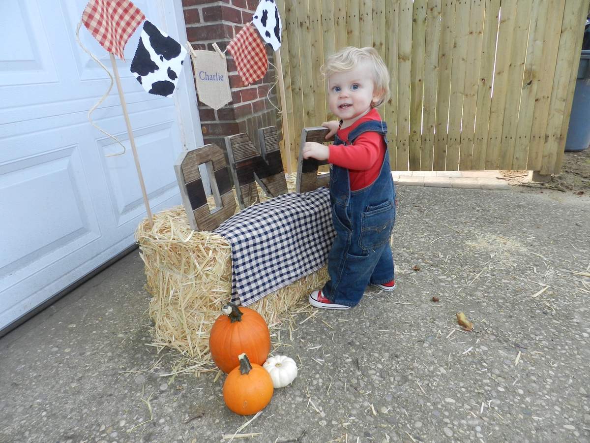 Farm/barnyard/fall Birthday Party Ideas | Photo 8 of 80 | Catch My Party