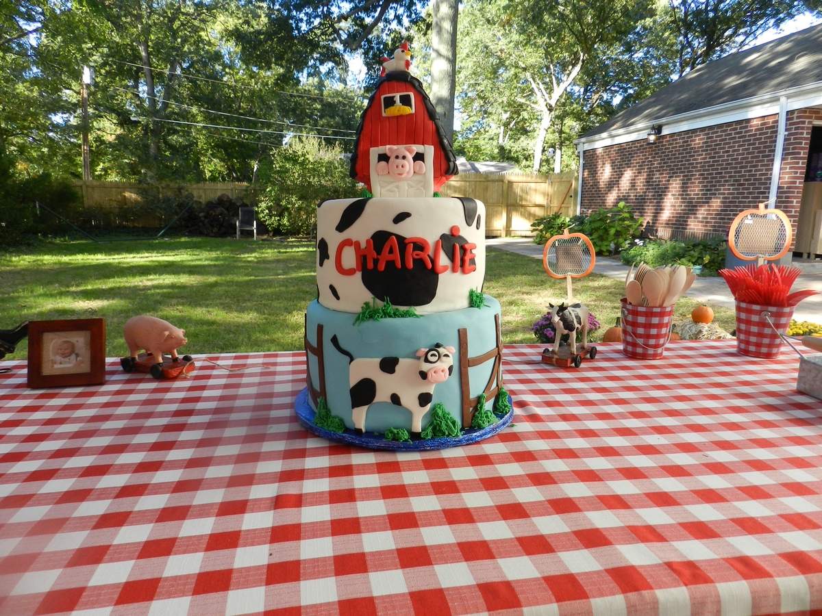 Farm/barnyard/fall Birthday Party Ideas | Photo 1 of 80 | Catch My Party