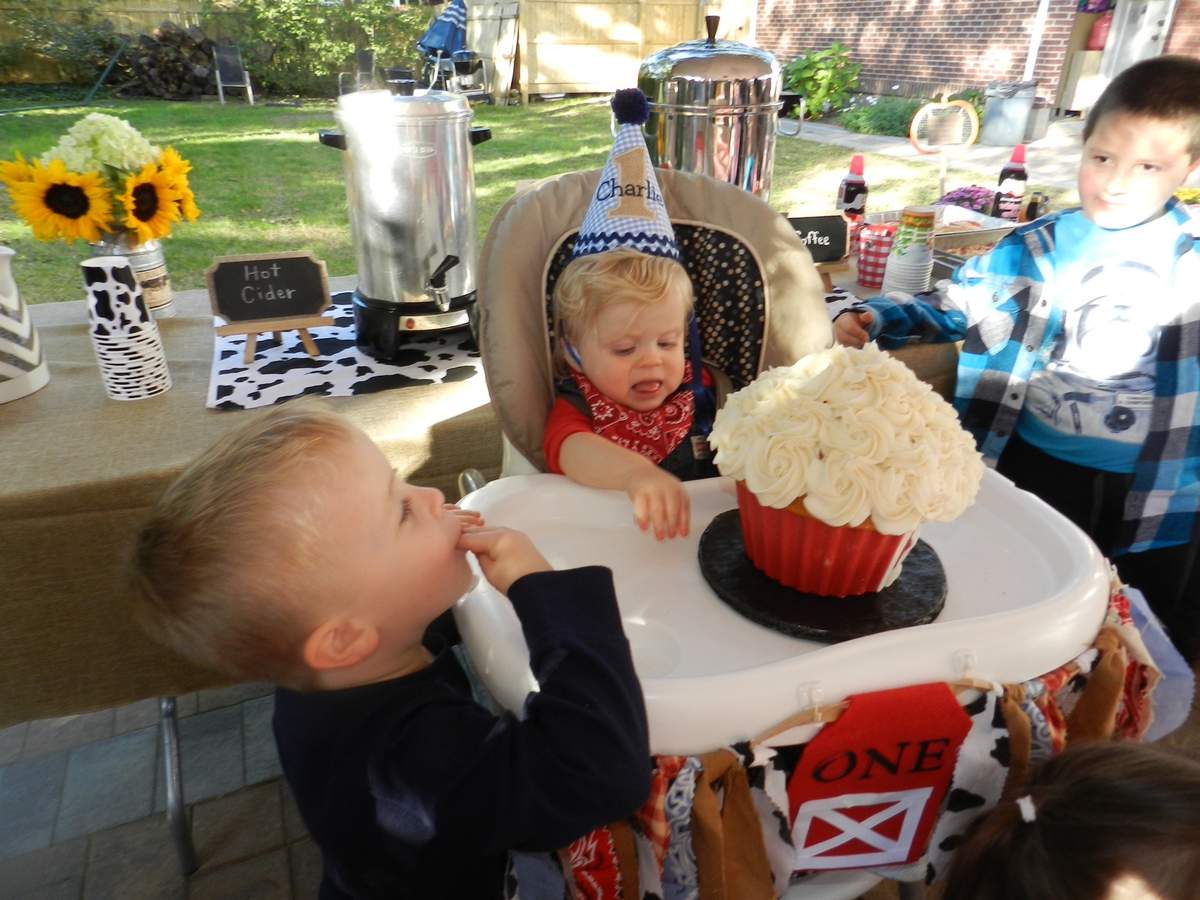 Farm/barnyard/fall Birthday Party Ideas | Photo 40 of 80 | Catch My Party