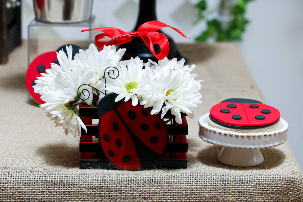 Lady Bug Theme Birthday Party Ideas | Photo 1 of 54 | Catch My Party