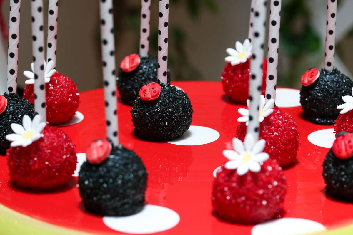 Lady Bug Theme Birthday Party Ideas | Photo 1 of 54 | Catch My Party