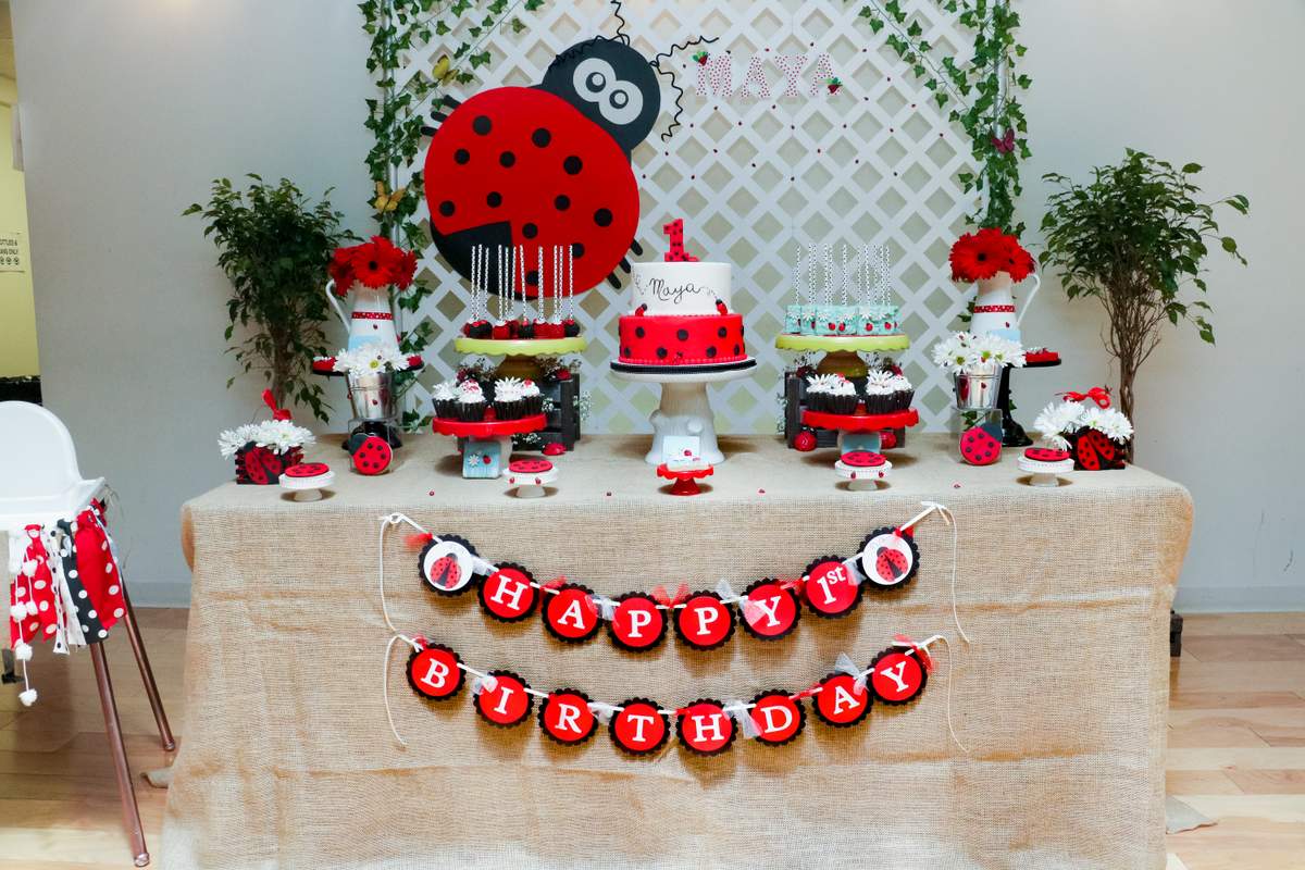Lady Bug Theme Birthday Party Ideas | Photo 37 of 54 | Catch My Party