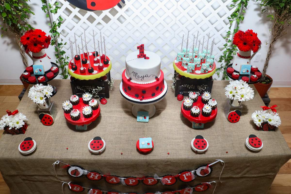 Lady Bug Theme Birthday Party Ideas | Photo 37 of 54 | Catch My Party