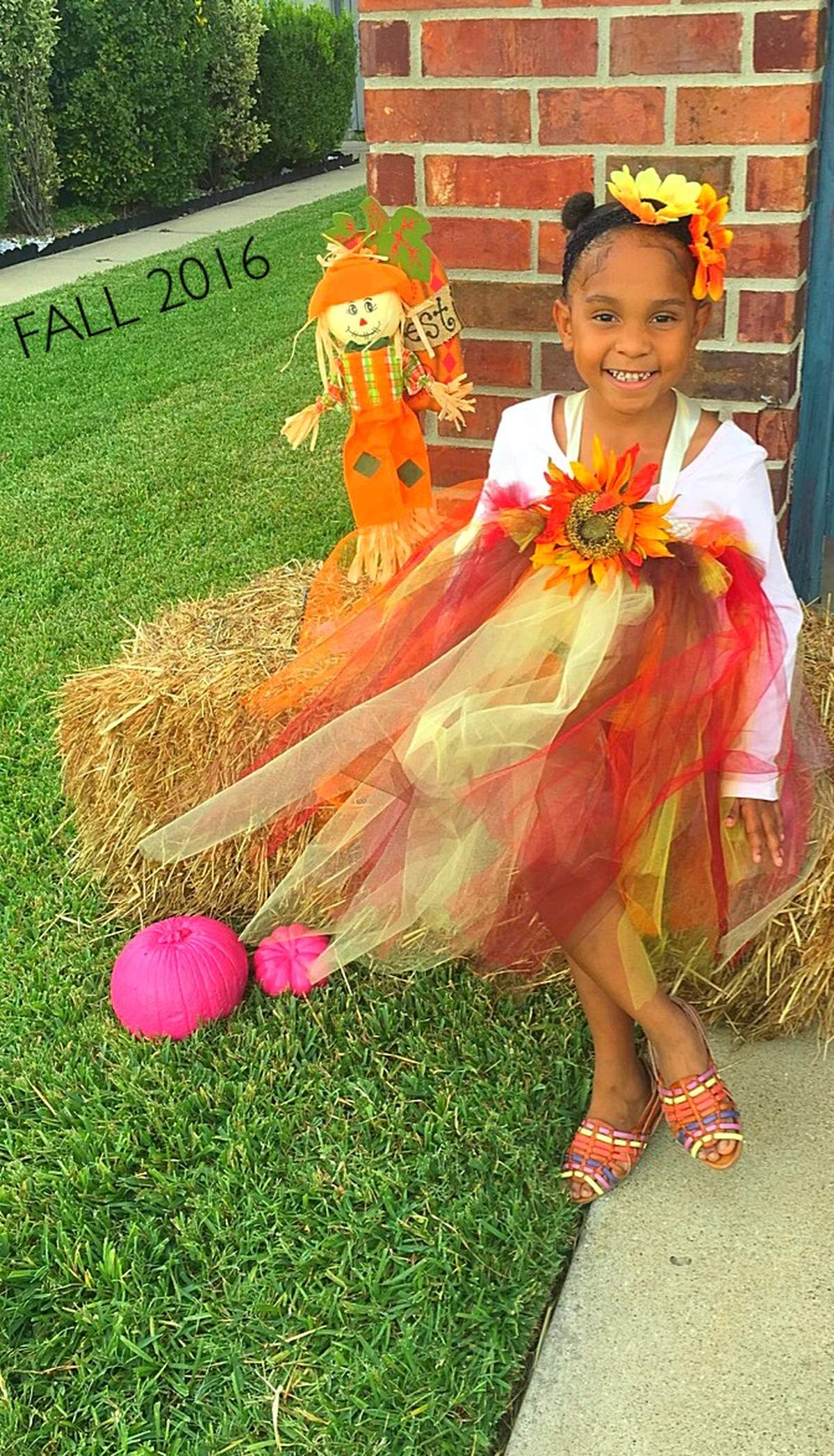 Fall Pumpkin Patch Birthday Party Ideas | Photo 10 of 19 | Catch My Party