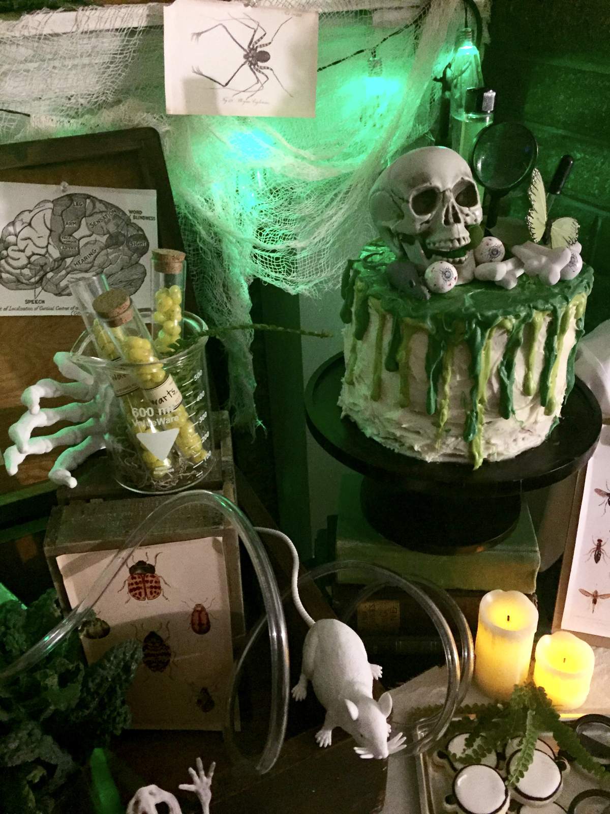 Mad Science, Science, Weird Science Birthday Party Ideas | Photo 7 of ...