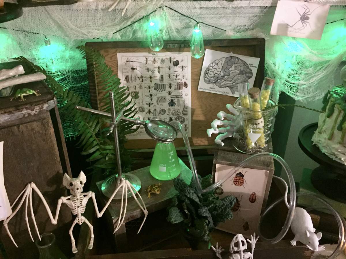 Mad Science, Science, Weird Science Birthday Party Ideas | Photo 7 of ...