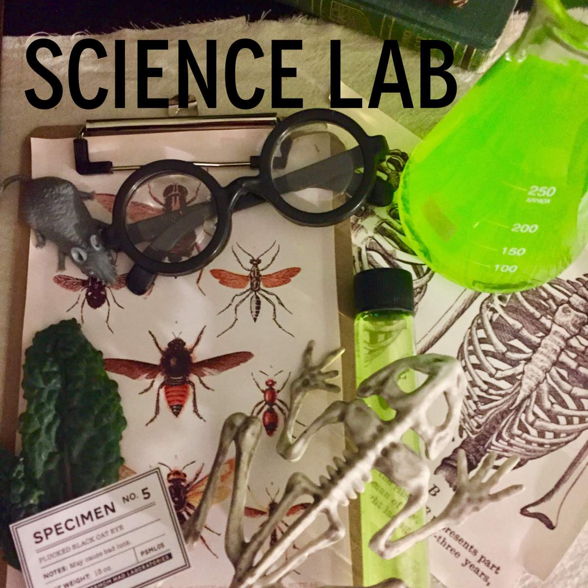 Mad Science, Science, Weird Science Birthday Party Ideas | Photo 5 of ...