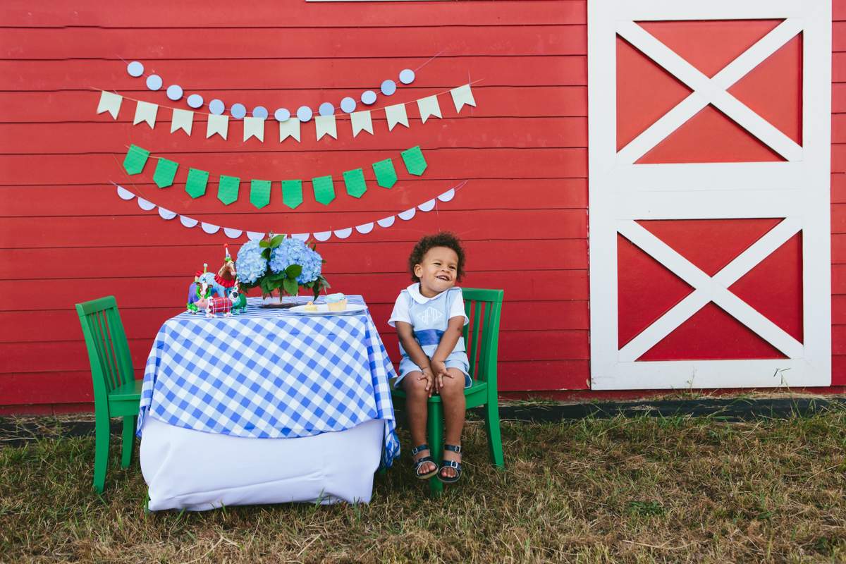 Barnyard Birthday Party Ideas | Photo 1 of 55 | Catch My Party