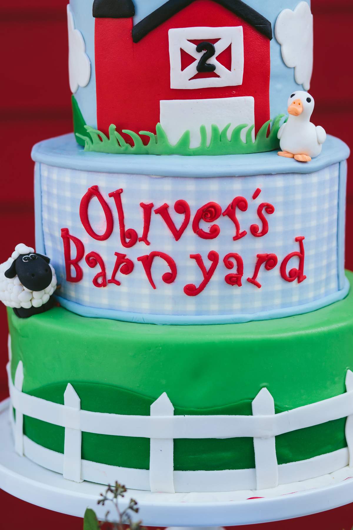 Barnyard Birthday Party Ideas | Photo 1 of 55 | Catch My Party