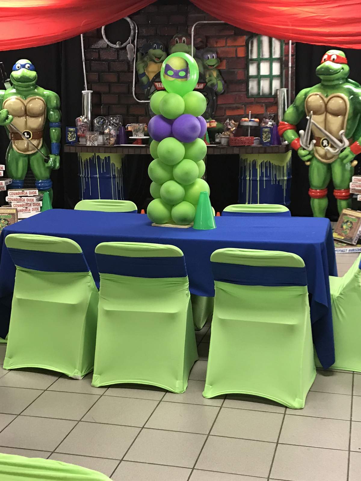 Teenage Mutant Ninja Turtles Birthday Party Ideas Photo 4 Of 24 