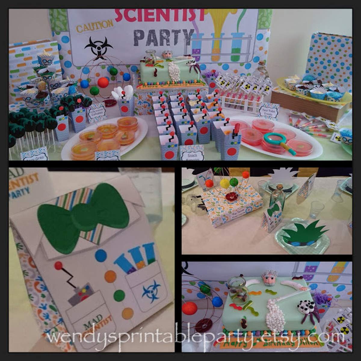 Science / Birthday "Dillon's Crazy Mad Scientist Party!" | Catch My Party