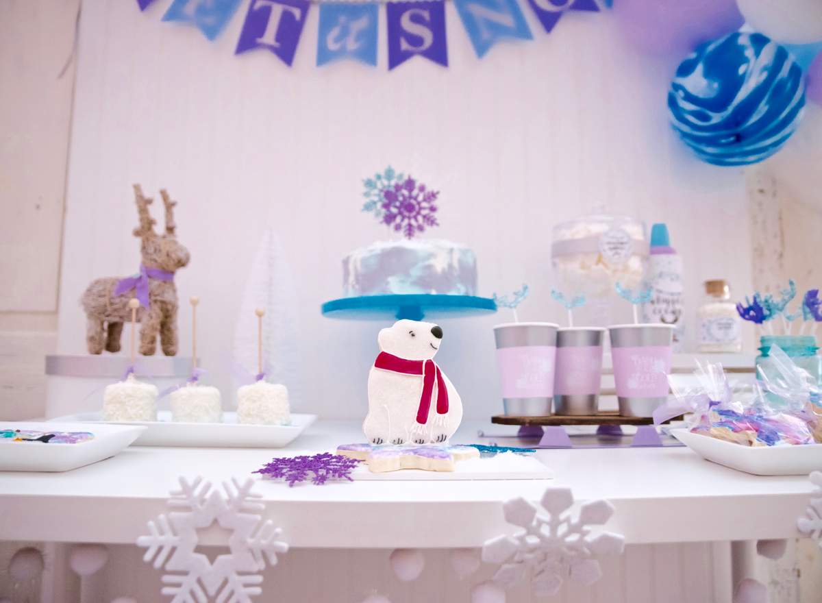 Winter Winter Party Party Ideas | Photo 2 of 33 | Catch My Party