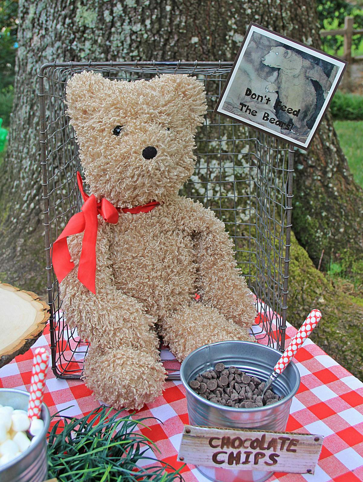 Bear Hunt Birthday Party Ideas | Photo 3 of 36 | Catch My Party