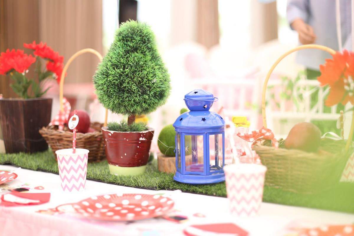 Little Red Riding Hood Birthday Party Ideas | Photo 1 of 26 | Catch My ...