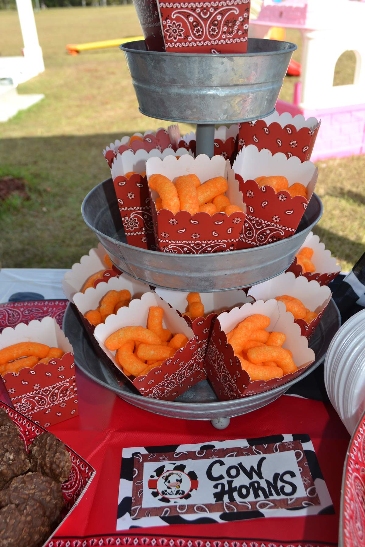 Farm / Barnyard Birthday Party Ideas | Photo 21 of 42 | Catch My Party
