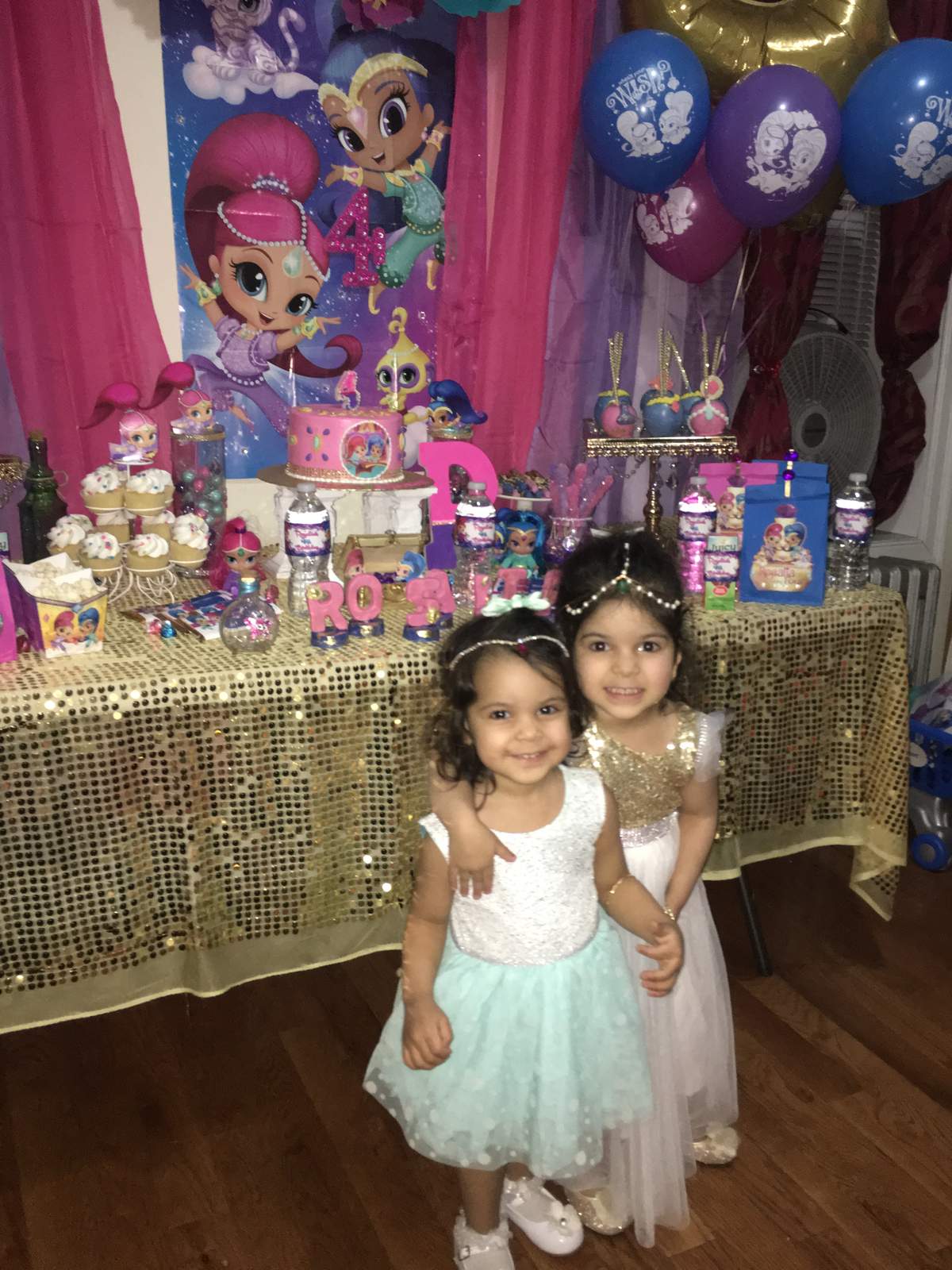 Shimmer and shine Birthday Party Ideas | Photo 4 of 6 | Catch My Party
