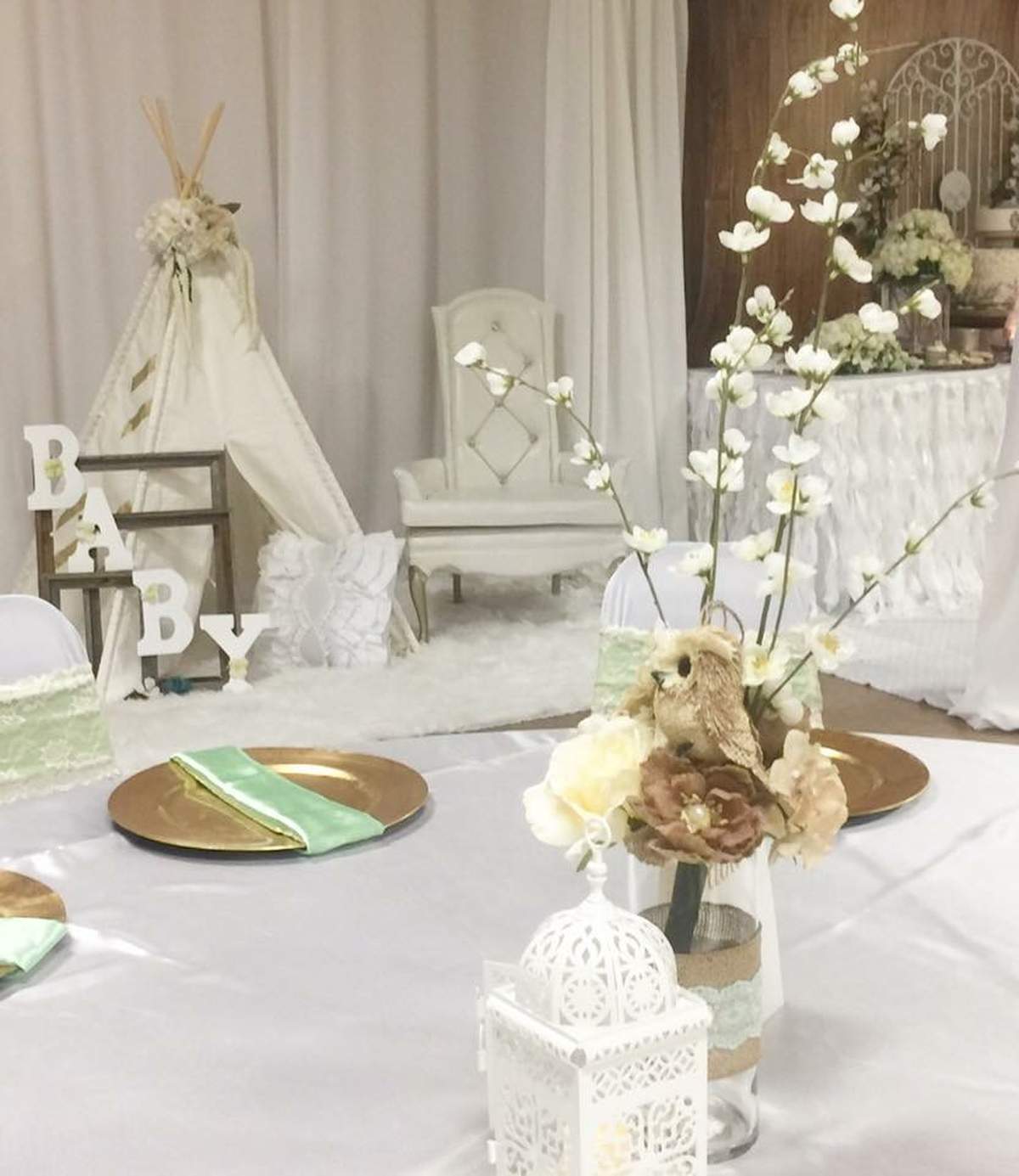 Owls/rustic Baby Shower Party Ideas | Photo 1 of 12 | Catch My Party
