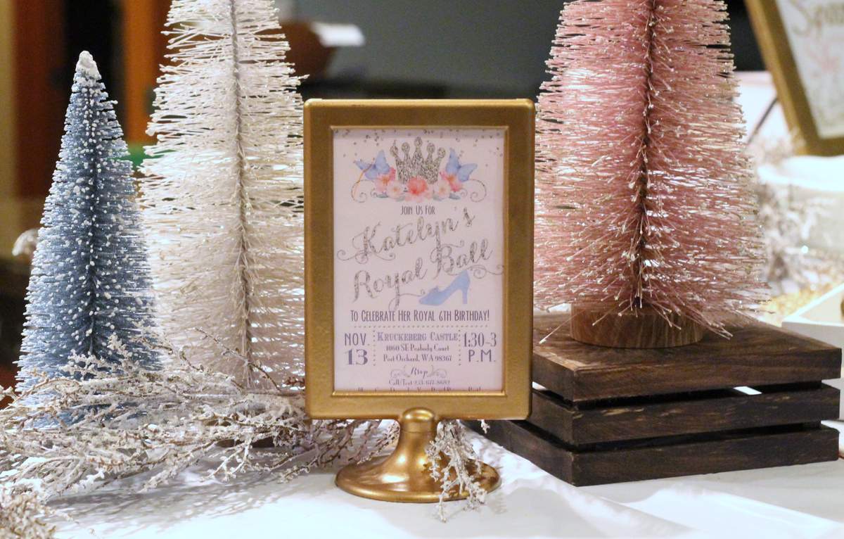 Princess - Winter Birthday Party Ideas | Photo 1 of 18 | Catch My Party