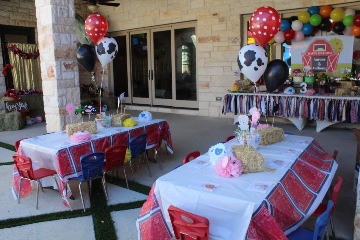 Barn Yard Animals Birthday Party Ideas | Photo 1 of 54 | Catch My Party