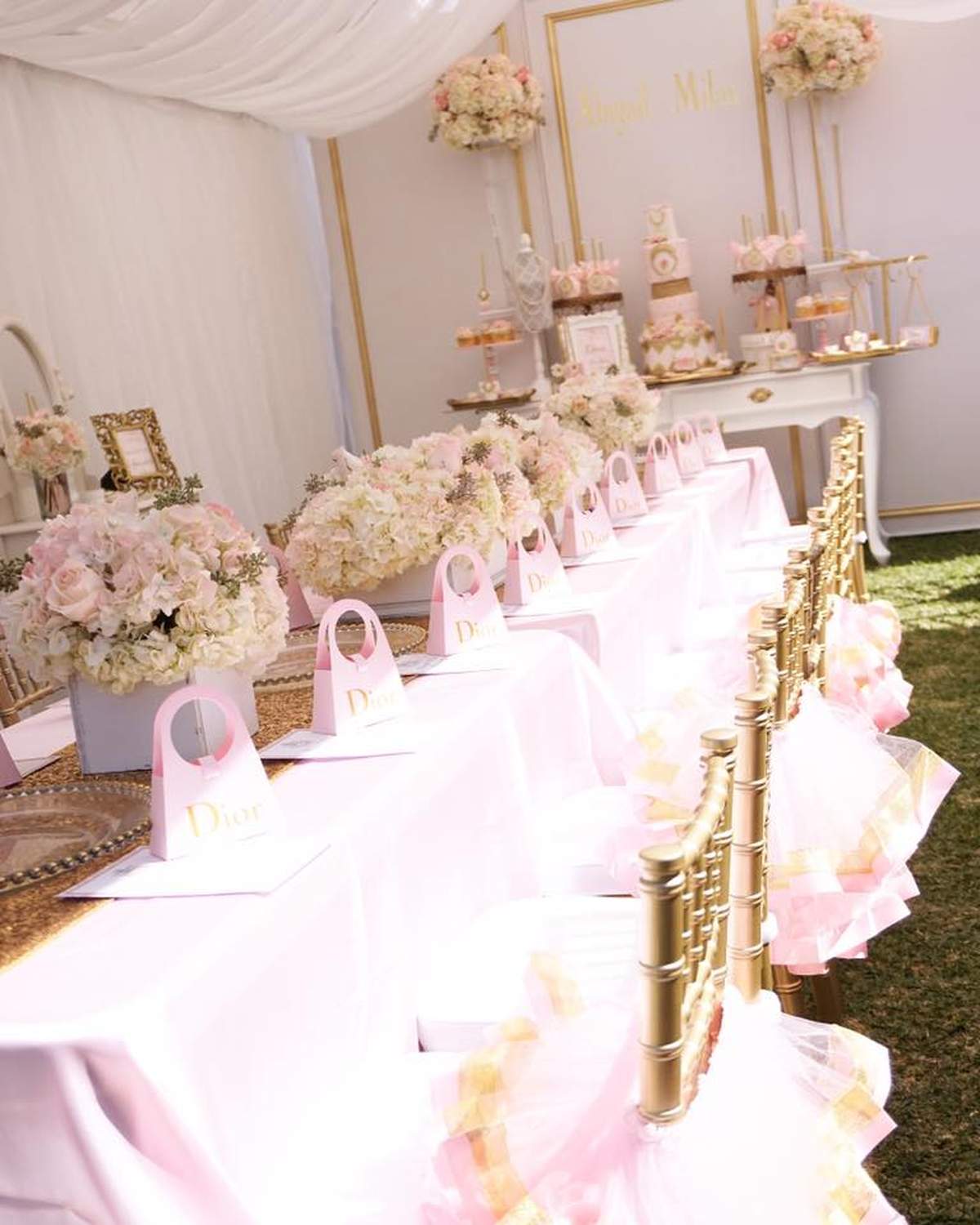 Dior Birthday Party Ideas | Photo 8 of 19 | Catch My Party