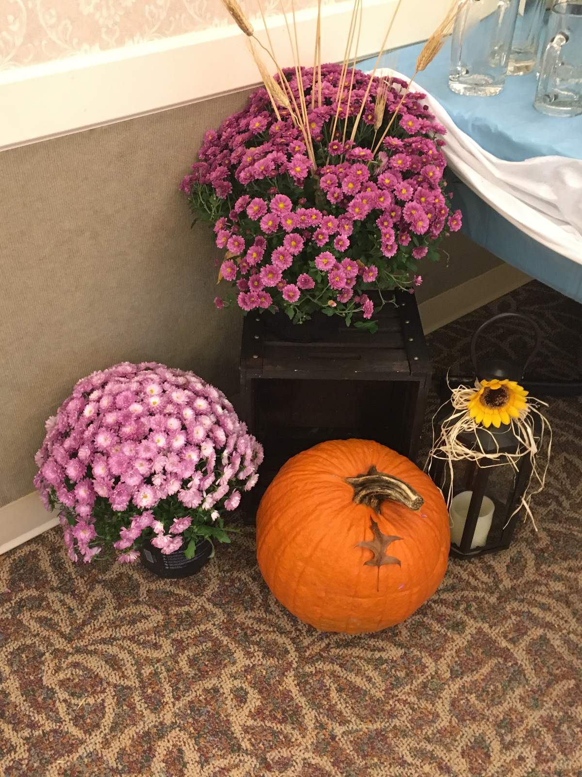 October fest Party Ideas | Photo 1 of 7 | Catch My Party