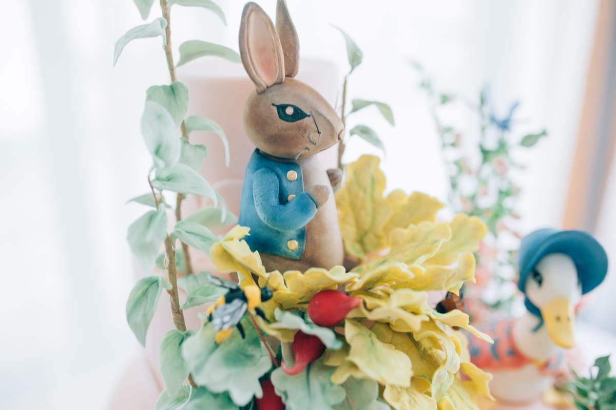 Beatrix Potter Birthday Party Ideas | Photo 25 of 33 | Catch My Party