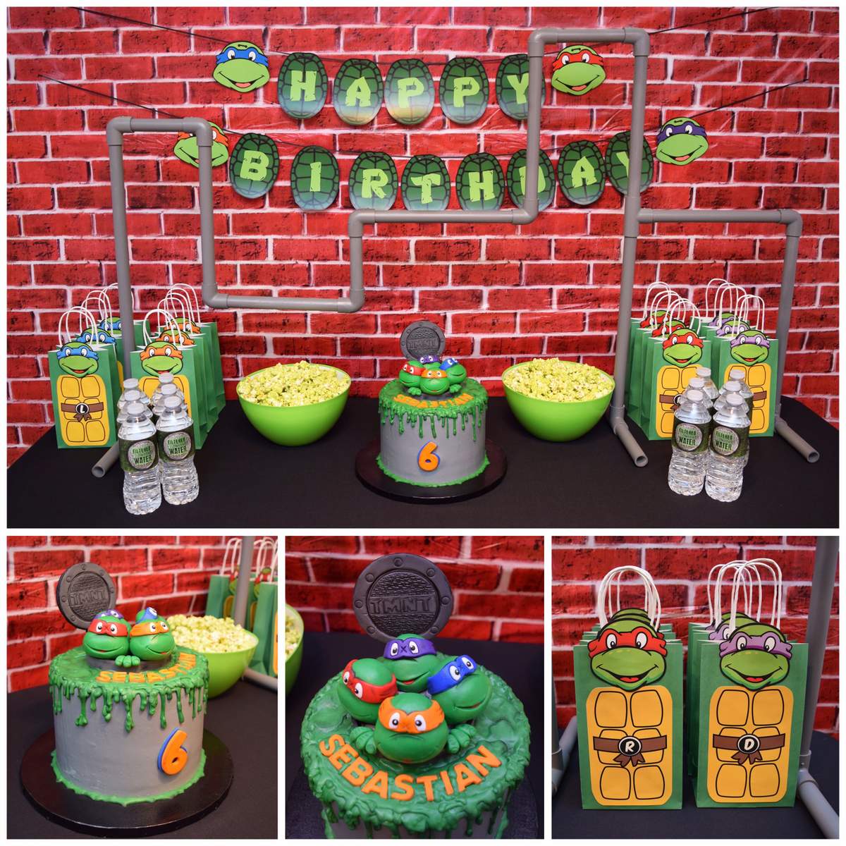 Teenage Mutant Ninja Turtles Birthday Party Ideas | Photo 10 of 35 ...