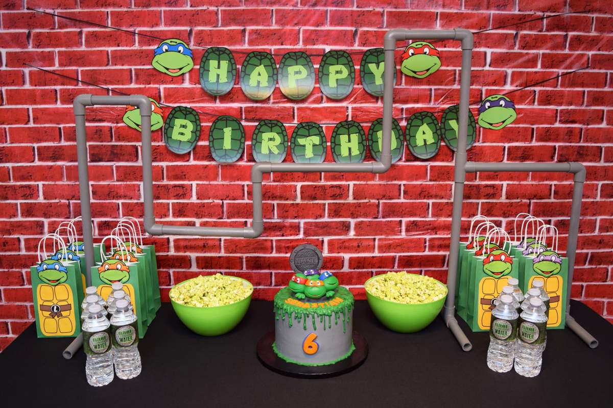 Teenage Mutant Ninja Turtles Birthday Party Ideas | Photo 10 of 35 ...