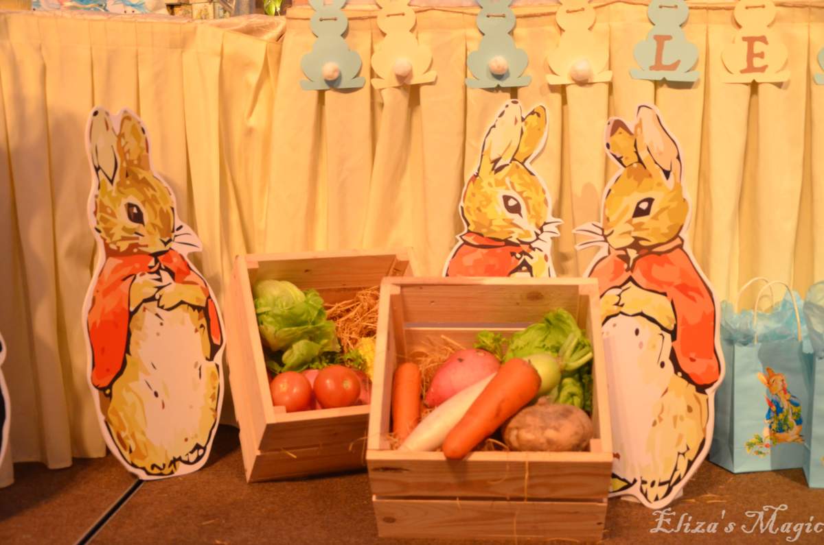 Peter Rabbit Birthday Party Ideas | Photo 9 of 36 | Catch My Party