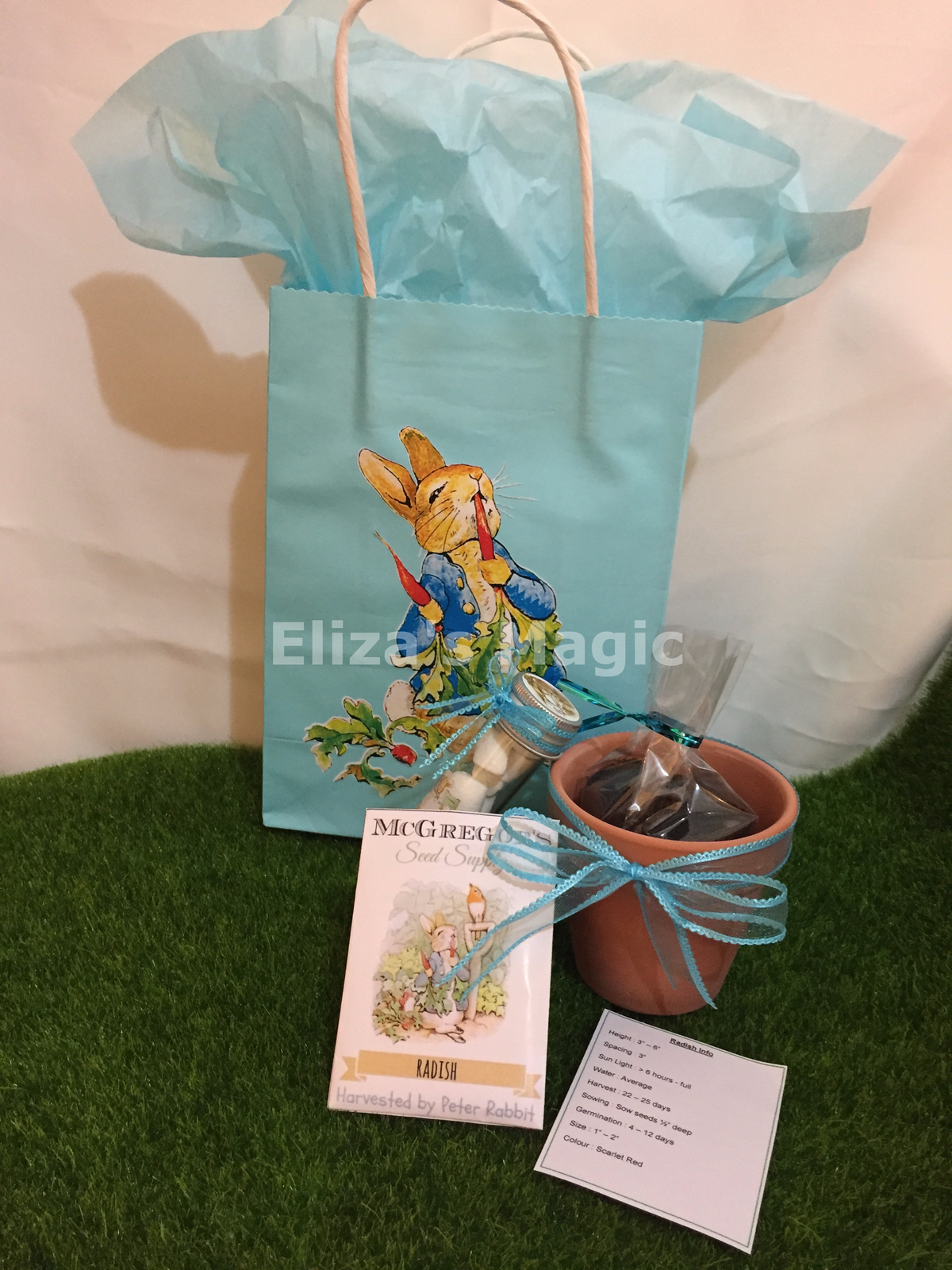 Peter Rabbit Birthday Party Ideas | Photo 9 of 36 | Catch My Party