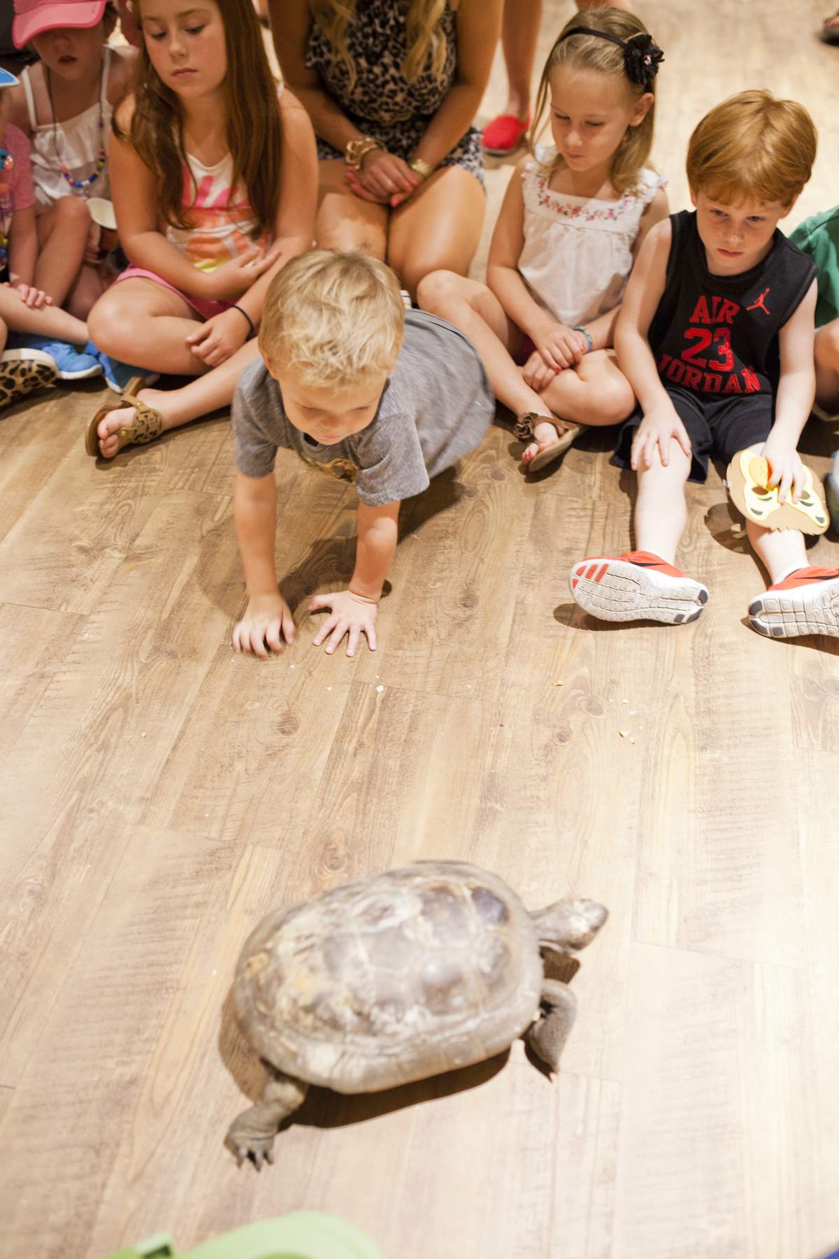 Zoo Animals Birthday Party Ideas | Photo 6 of 42 | Catch My Party