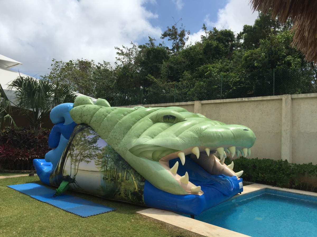 Reptile Party Birthday Party Ideas | Photo 1 of 29 | Catch My Party