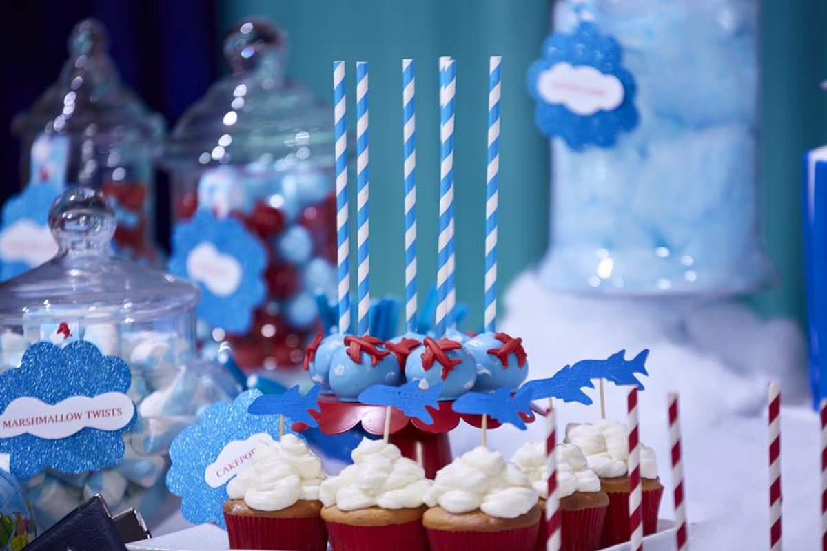 Airplane / Birthday "Sky High Birthday Party" | Catch My Party