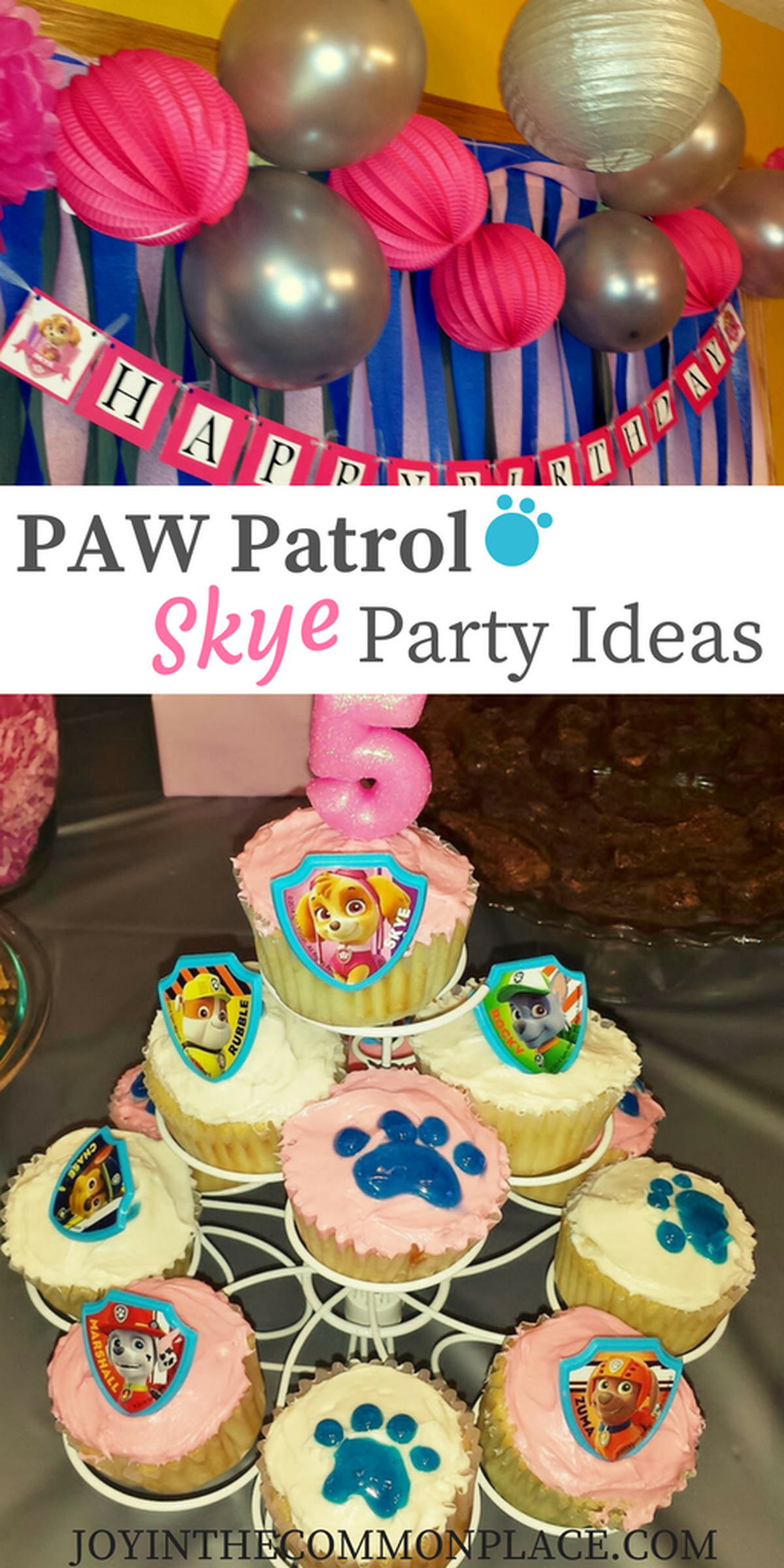  Paw Patrol Skye Birthday Party Ideas Photo 1 Of 7 Catch My Party