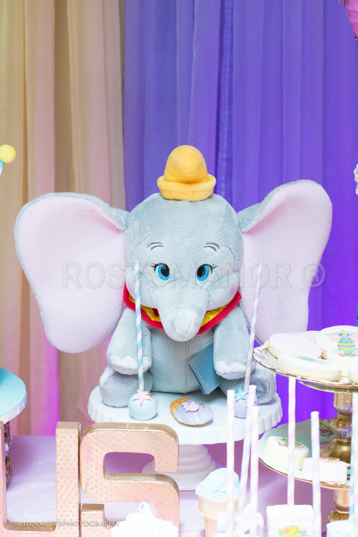 Dumbo Circus Birthday Party Ideas | Photo 1 of 116 | Catch My Party